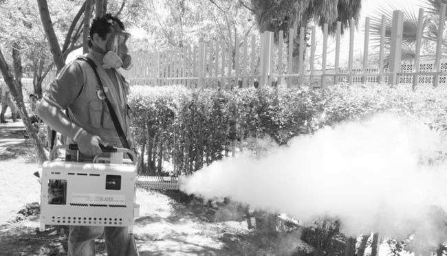 Reportan el primer caso de dengue, El Siglo de Torreón Reportan el primer caso de dengue, El Siglo de Torreón