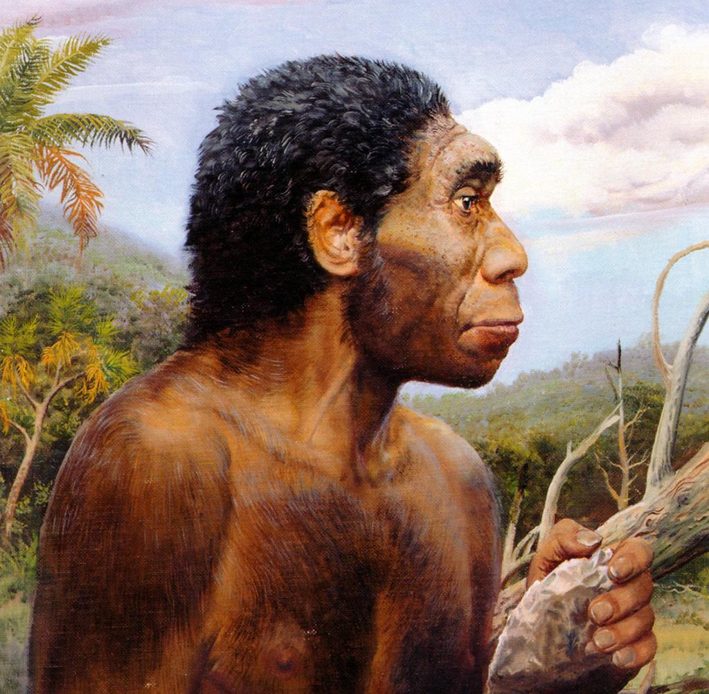 Estiman que el homo erectus es unos 200 mil años más antiguo de lo que ... Estiman que el homo erectus es unos 200 mil años más antiguo de lo que ...